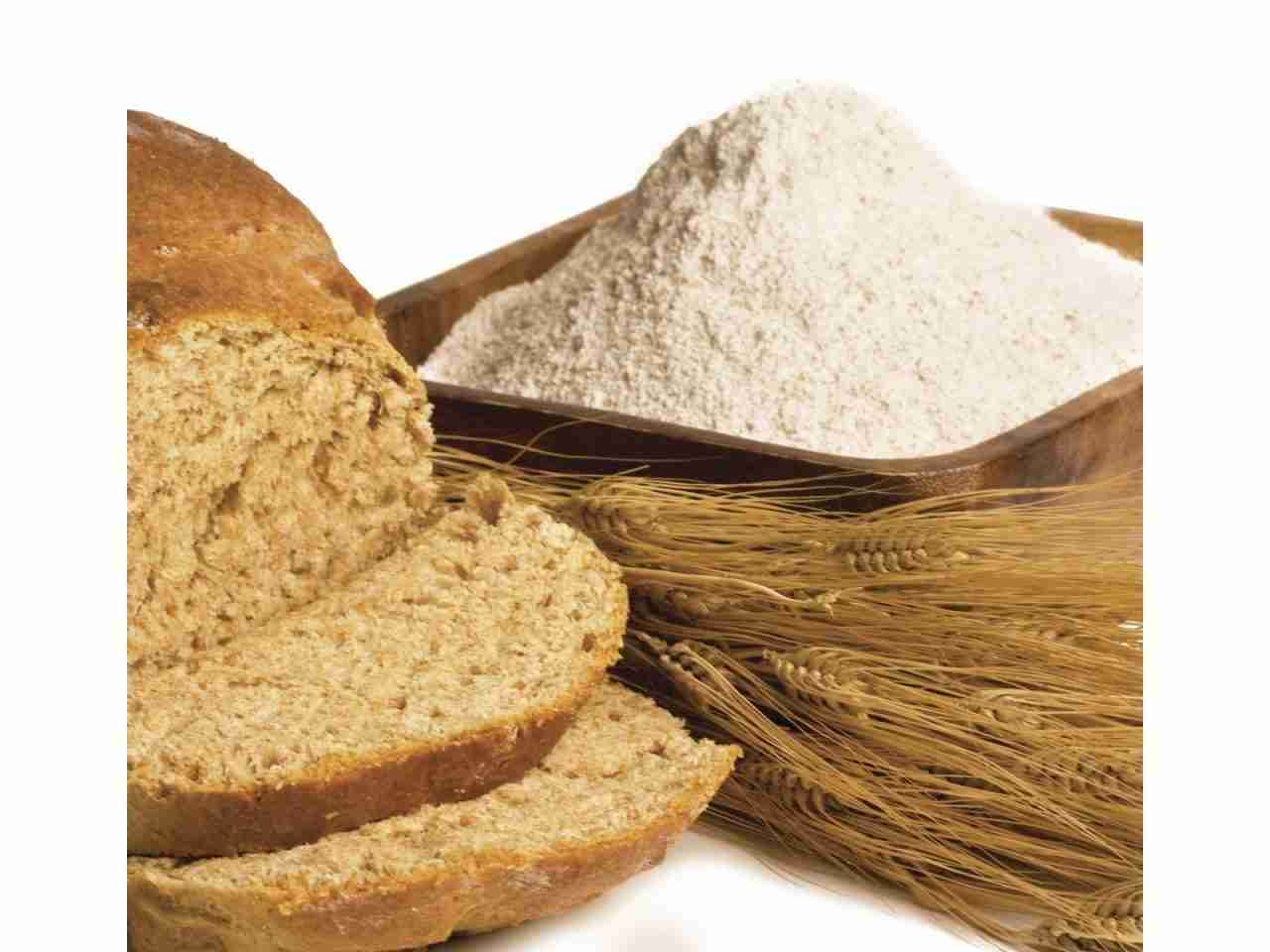 Sprouted Wheat Flour - Oak Hill Bulk Foods
